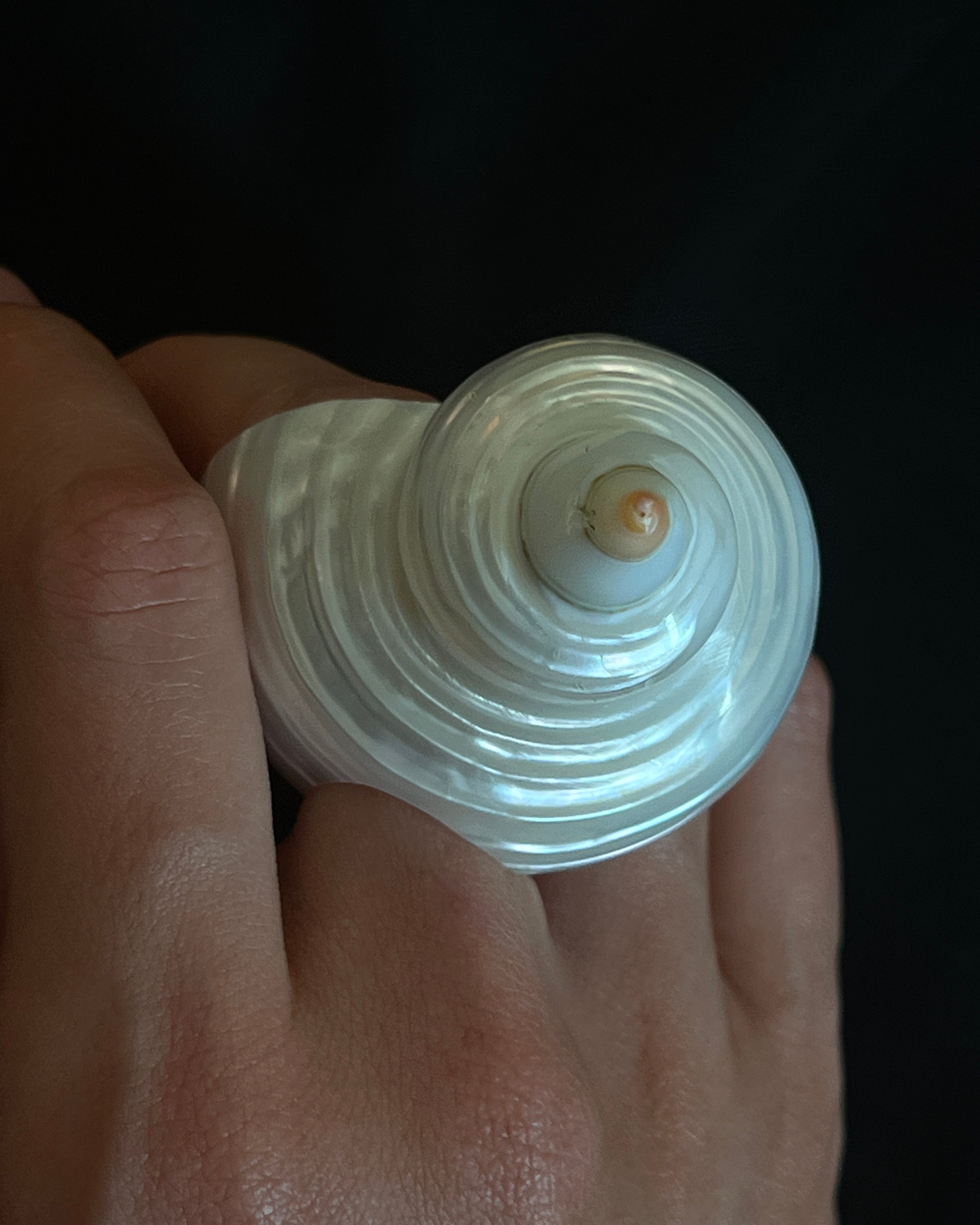 oskóla | Handcrafted Seashell Jewelry